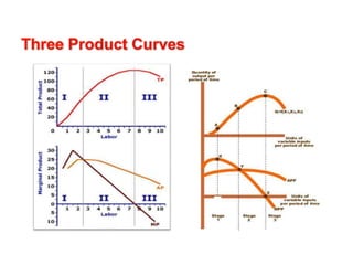 10) Production function and laws of production.pptx