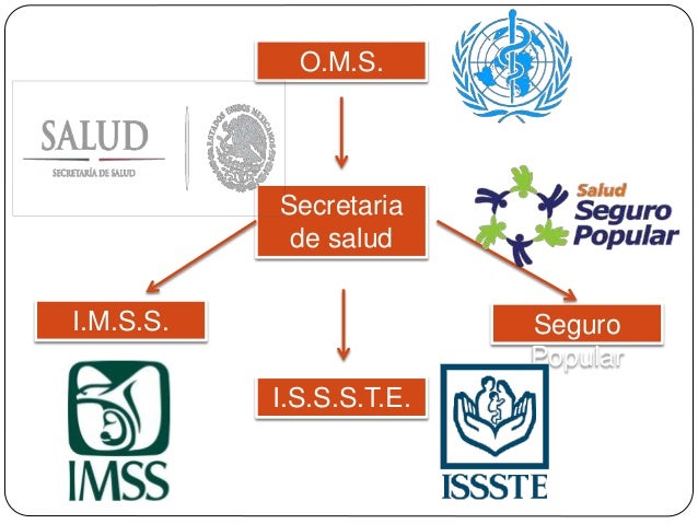 10 Programas De Atencion Primaria De La Salud