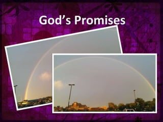 Framing the Promise: A Sermon on the Ten Commandments from Exodus 19:4 ...