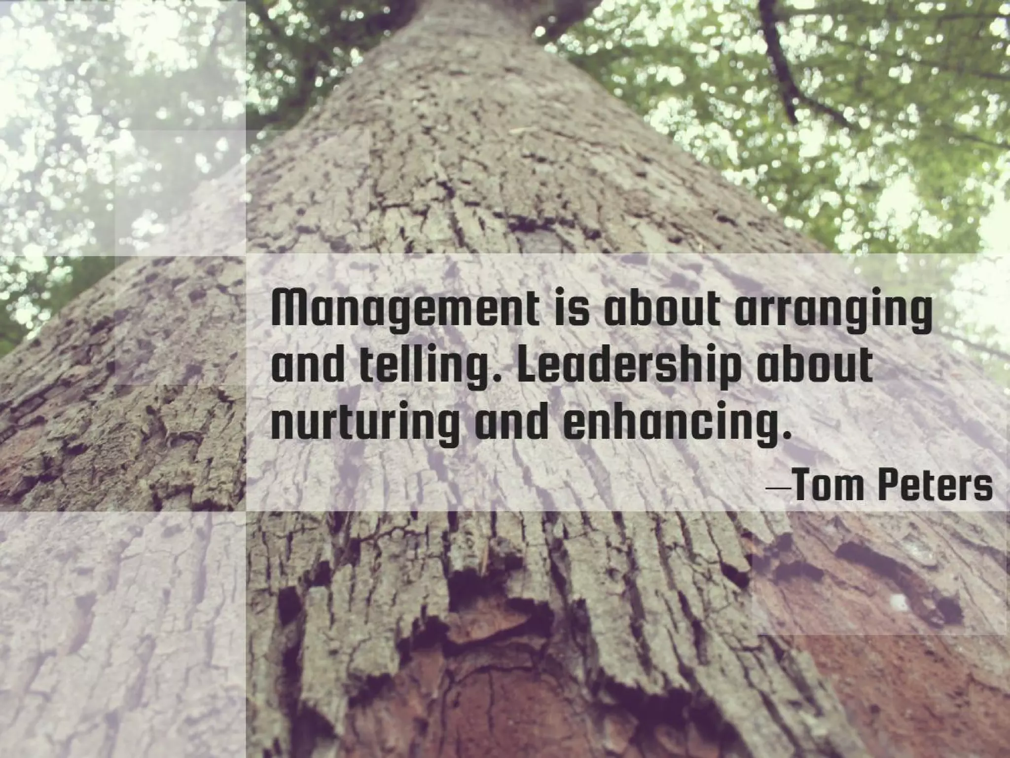10 Quotes About Management that Inspire Us | PDF | Executive Leadership ...
