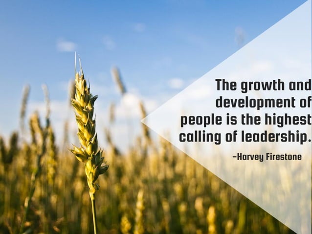 10 Quotes About Management that Inspire Us | PDF