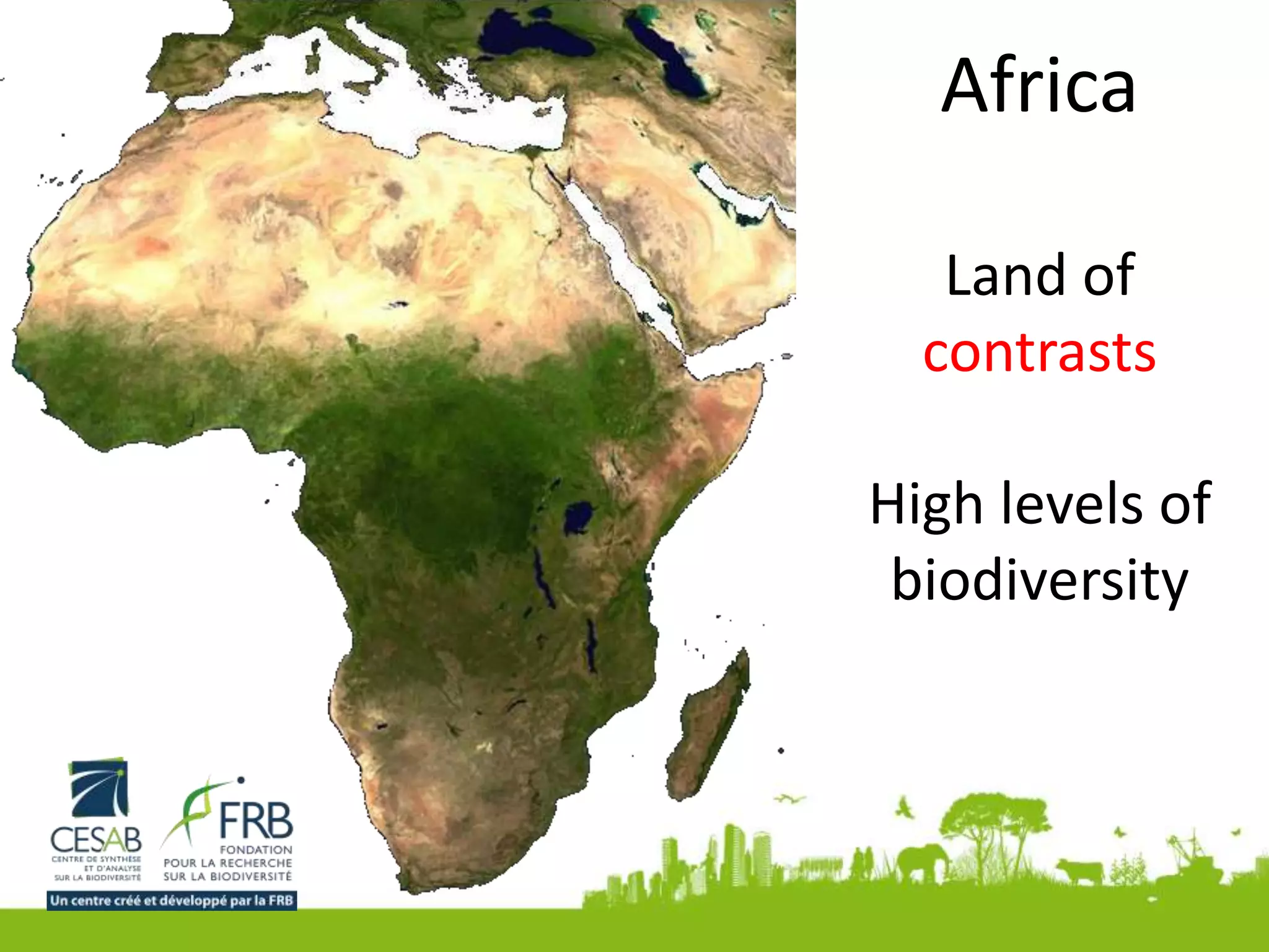African rainforest dynamics: interactions between ecological processes ...
