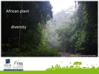 African rainforest dynamics: interactions between ecological processes ...