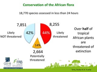 African rainforest dynamics: interactions between ecological processes ...
