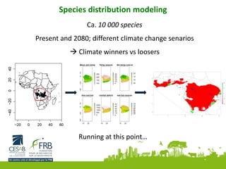 African rainforest dynamics: interactions between ecological processes ...