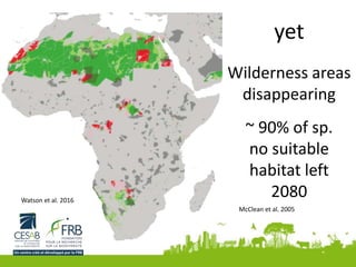 African rainforest dynamics: interactions between ecological processes ...
