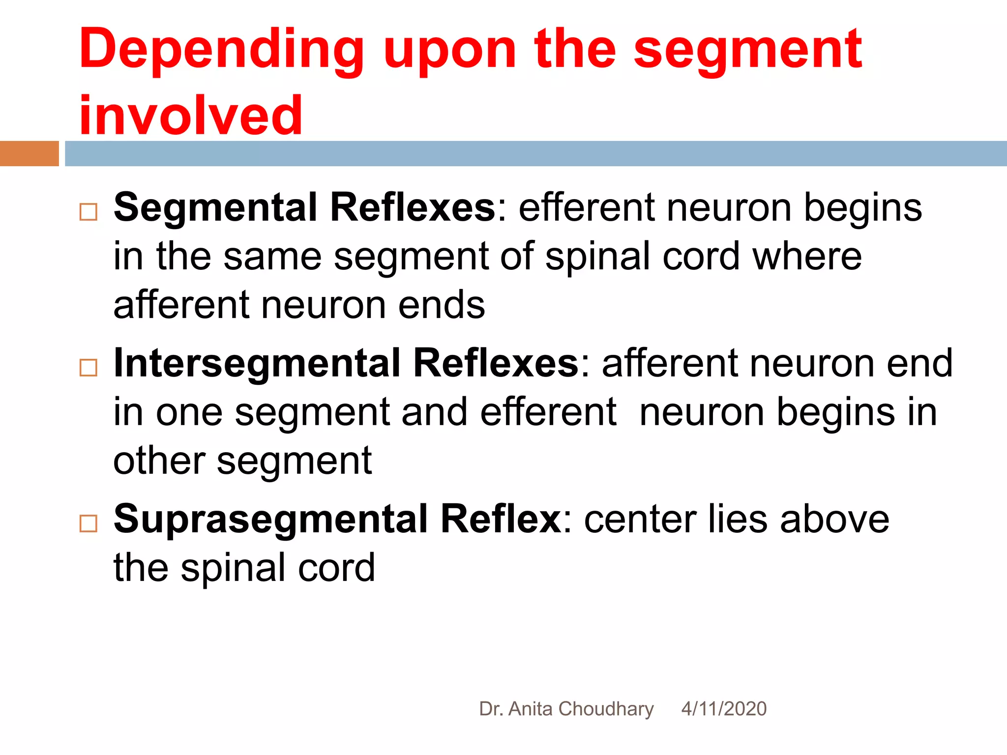 REFLEX ( Physiology) | PPTX