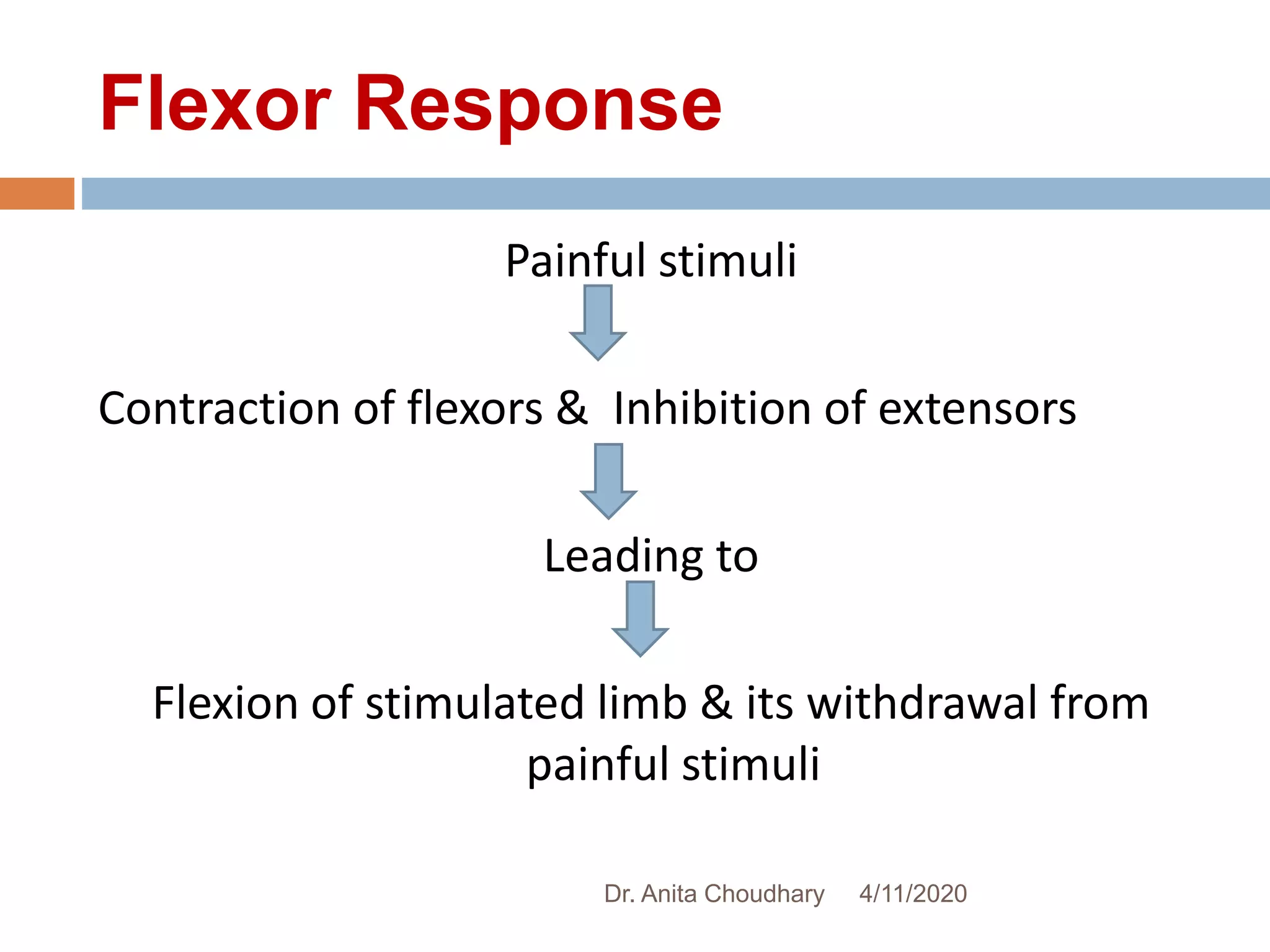 REFLEX ( Physiology) | PPTX
