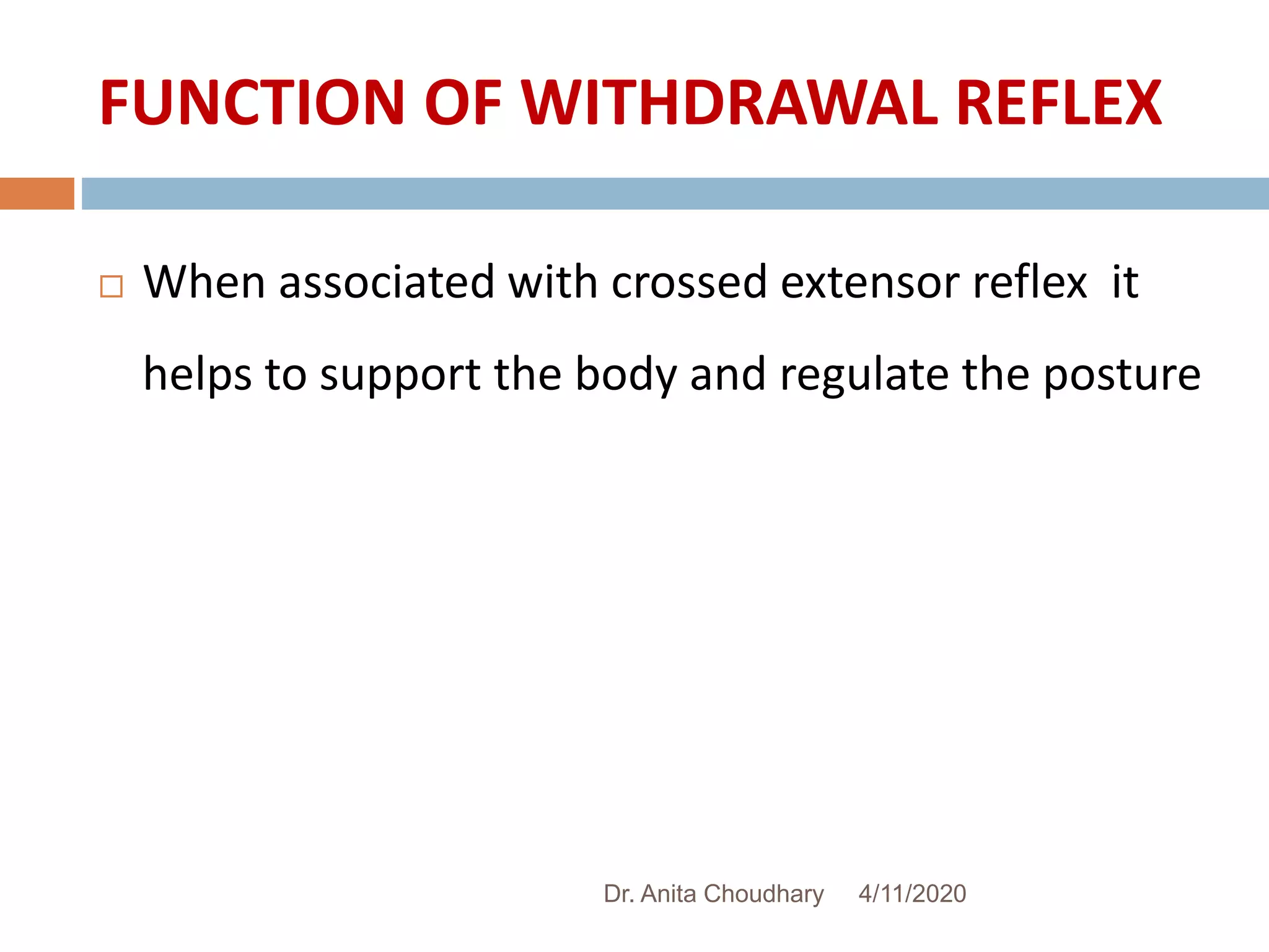 REFLEX ( Physiology) | PPTX