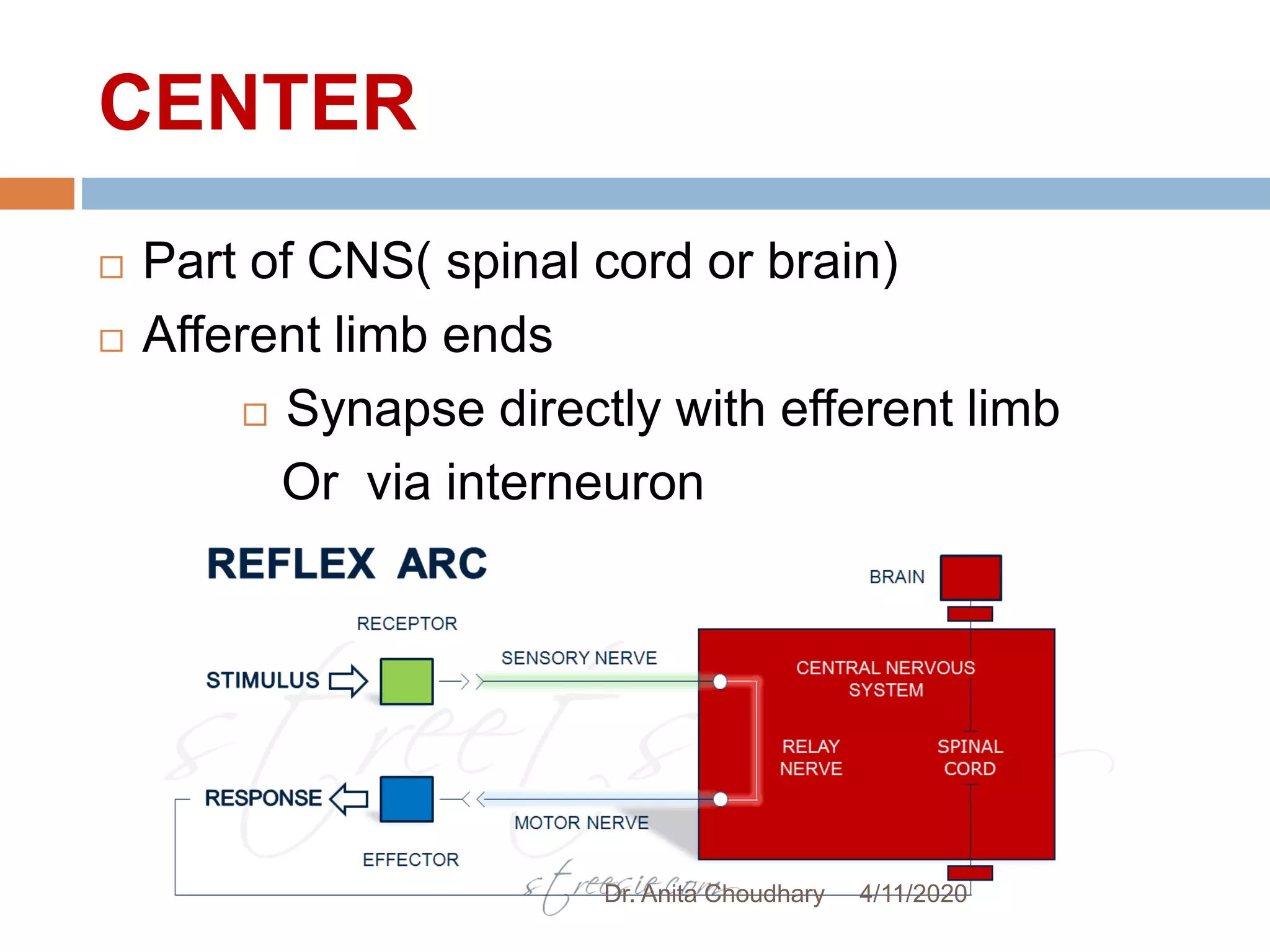 REFLEX ( Physiology) | PPTX