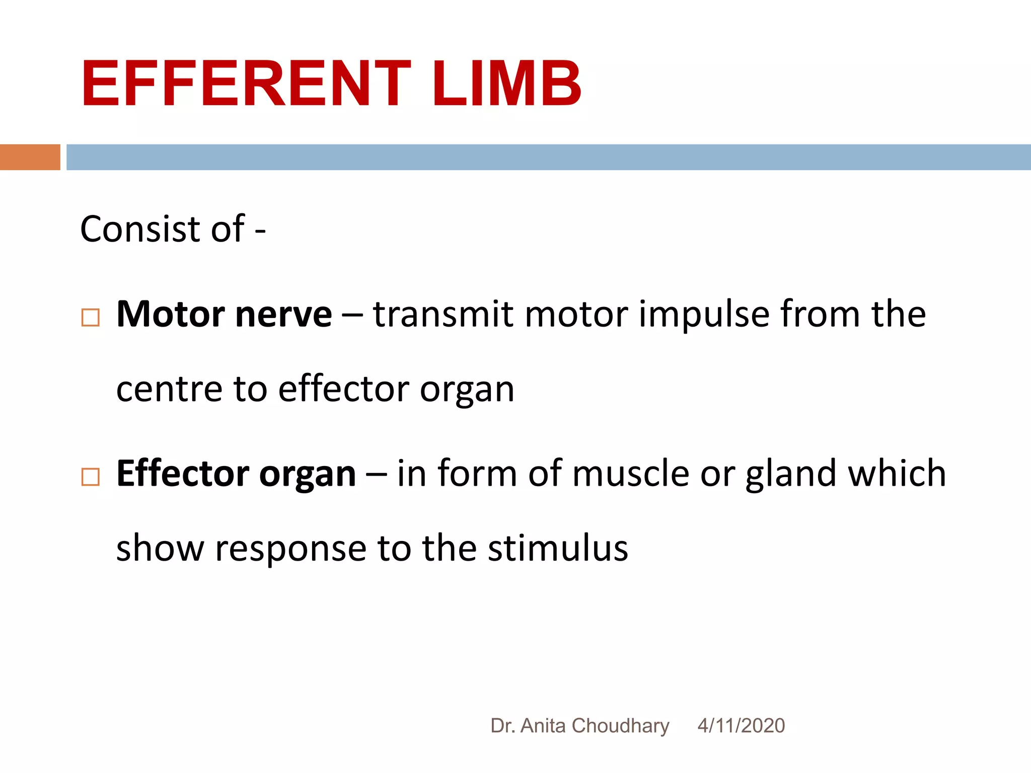 REFLEX ( Physiology) | PPTX