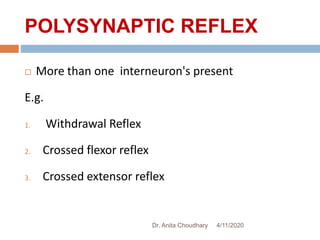 REFLEX ( Physiology) | PPTX