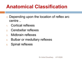 REFLEX ( Physiology) | PPTX