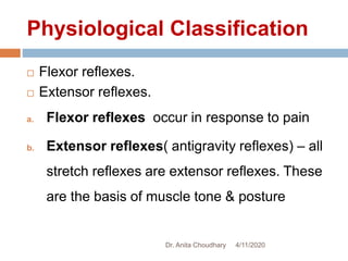 REFLEX ( Physiology) | PPTX