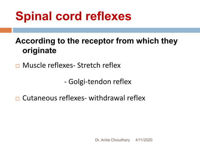 REFLEX ( Physiology) | PPTX