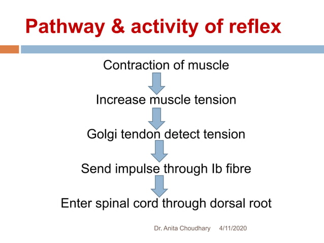 REFLEX ( Physiology) | PPTX