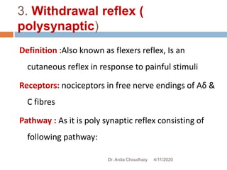 REFLEX ( Physiology) | PPTX
