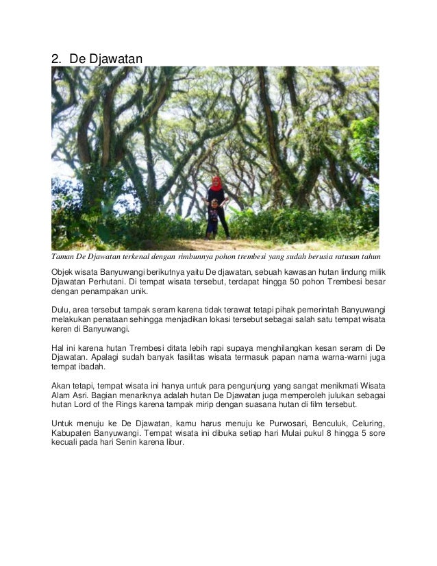 10 rekomendasi wisata banyuwangi | PDF