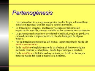 10 reproduccion animales | PPT