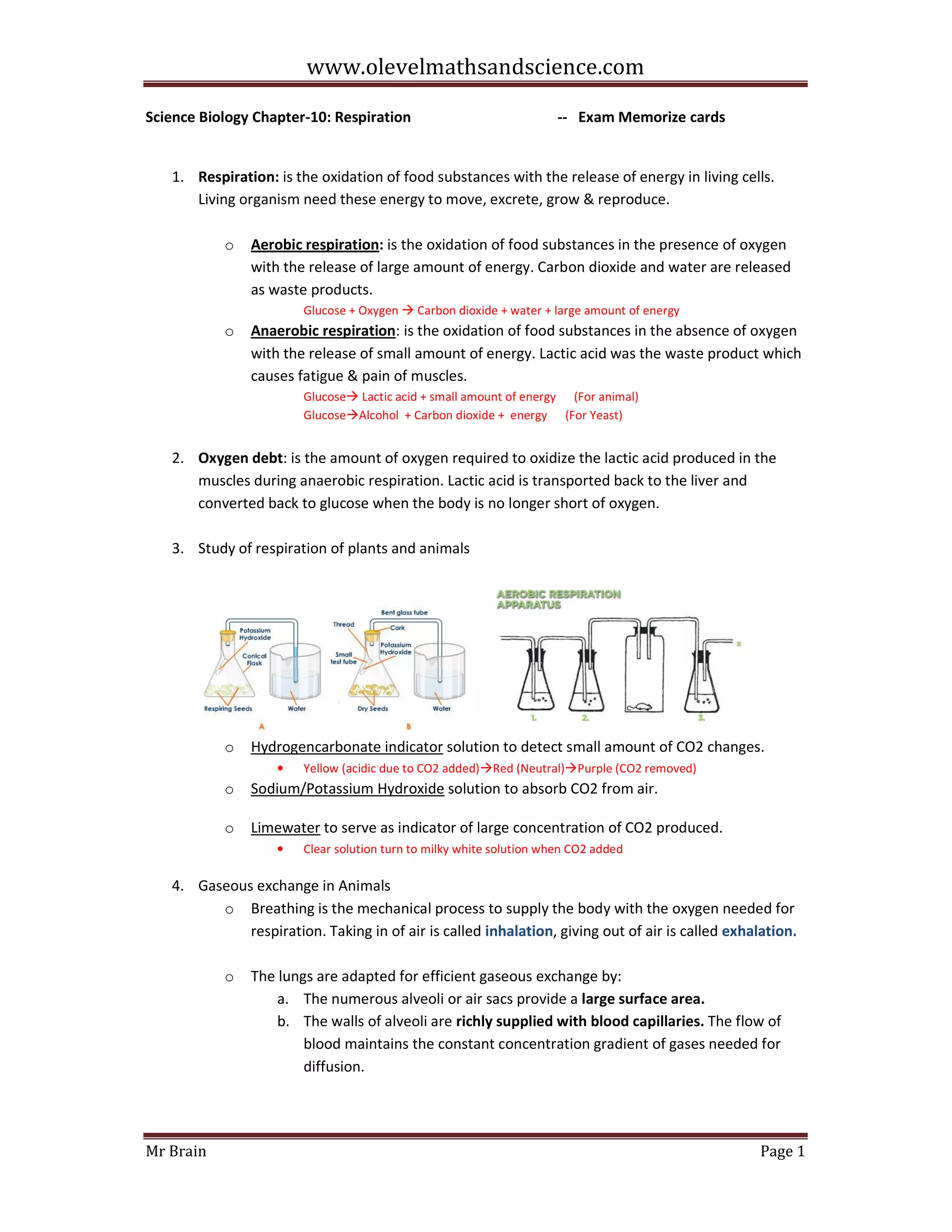 10 respiration | PDF