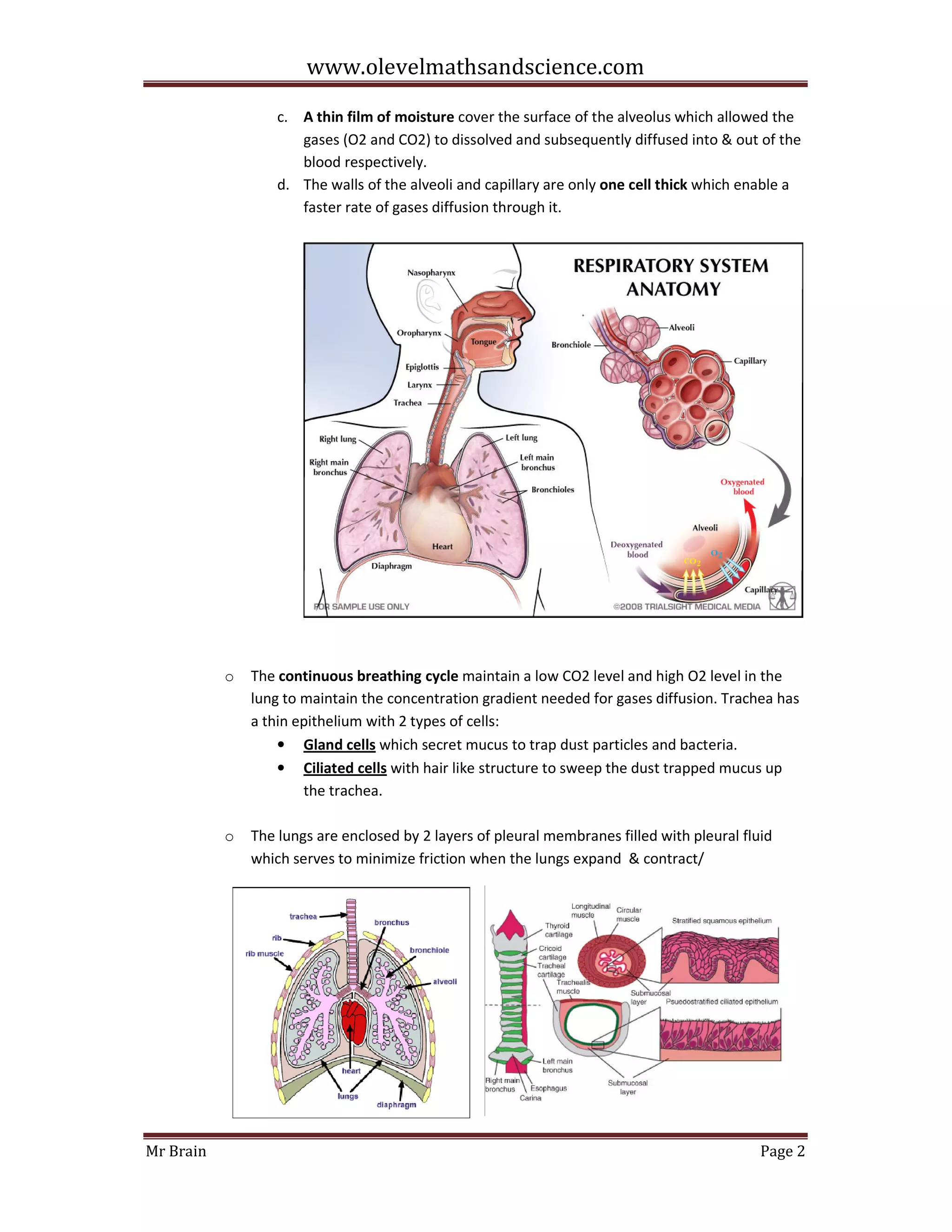10 respiration | PDF