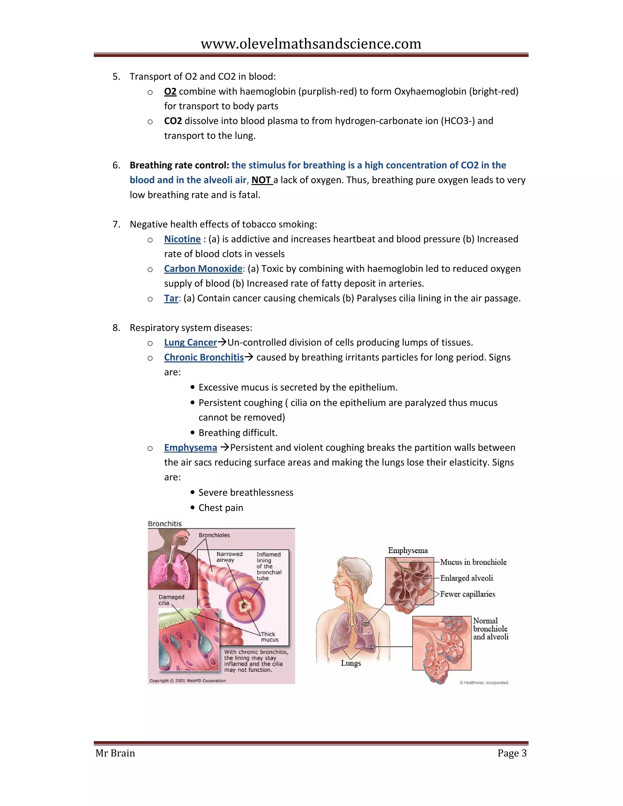10 respiration | PDF