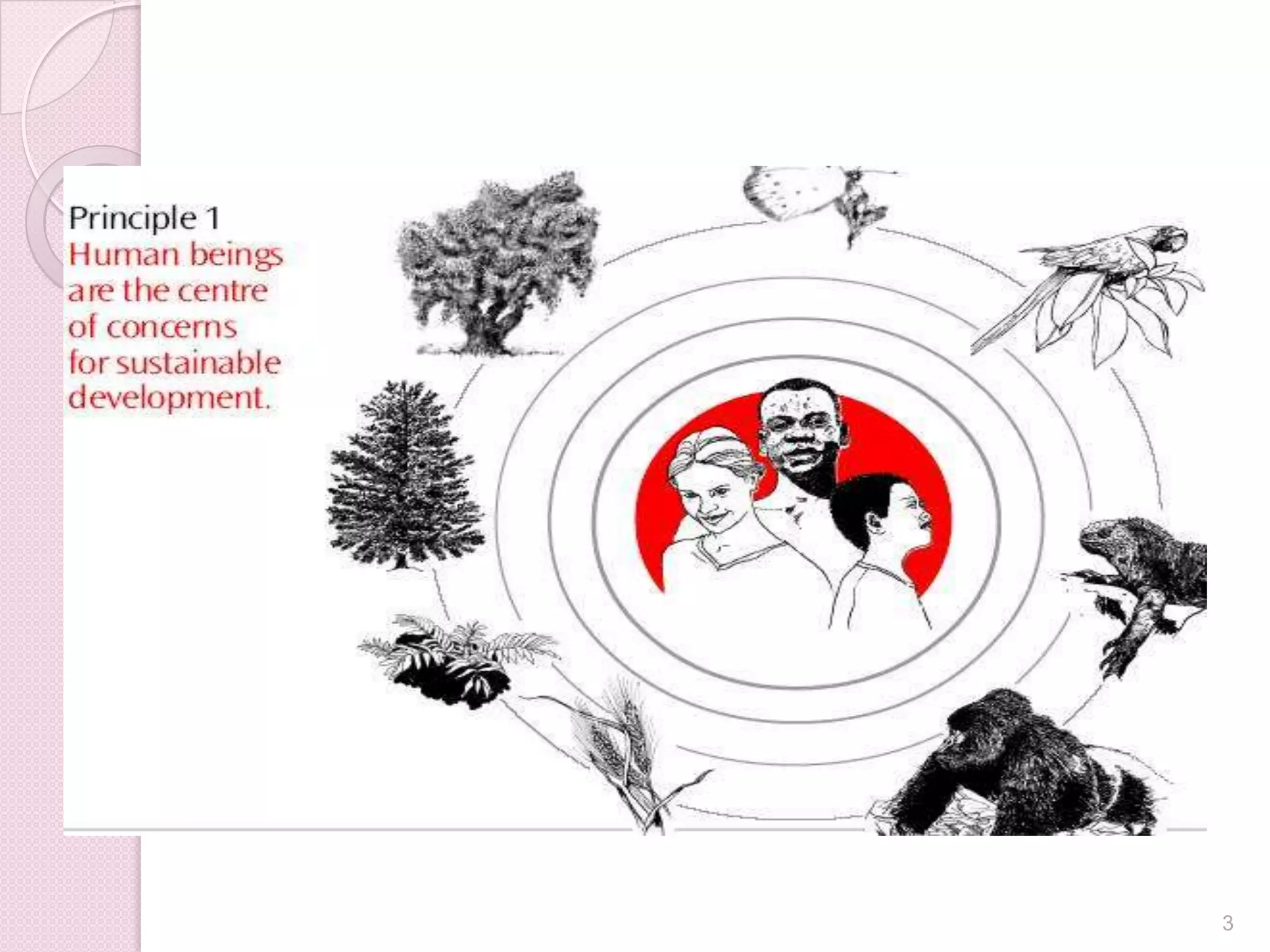 10 rio declaration on environment and development | PPT