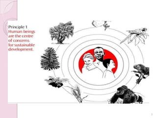 10 rio declaration on environment and development | PPT