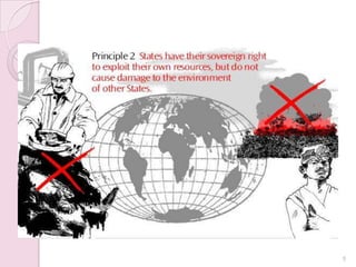 10 rio declaration on environment and development | PPT