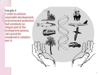 10 rio declaration on environment and development | PPT