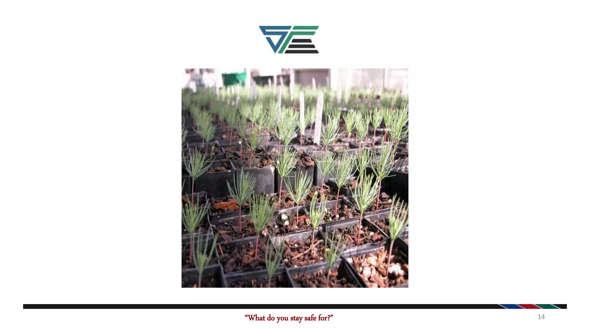 Risk Visibility - identifying the hazards - Mark Fogarty | PPTX