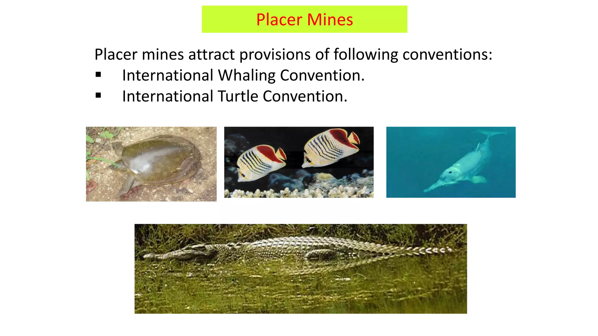 10 . "Forest Clearance" under Forest (Conservation Act, 1980 and ...