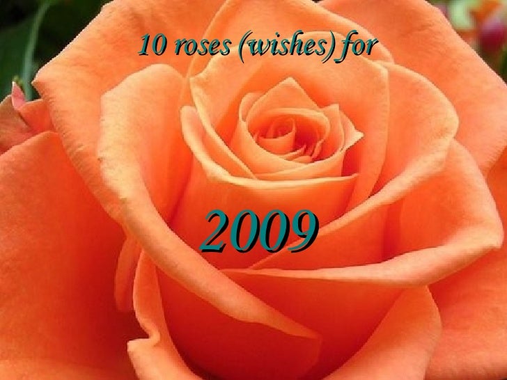 10 Roses Just For You