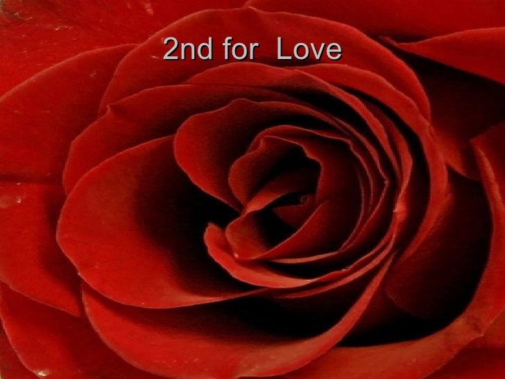 10 Roses Just For You