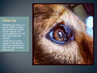 10 rules of photography | PPTX