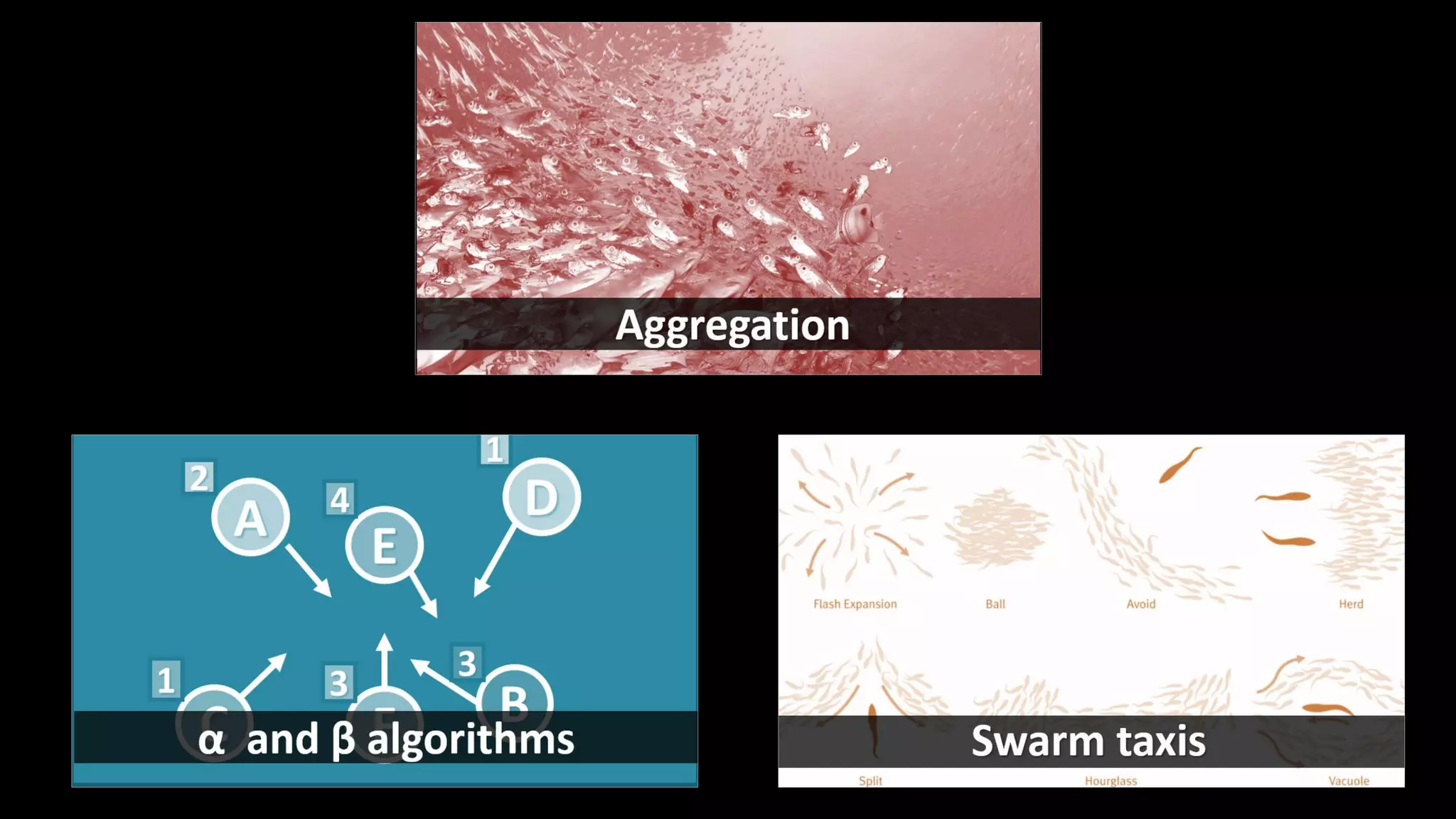 Aggregation and swarm taxis in swarm robotics | PPT