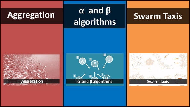 Aggregation and swarm taxis in swarm robotics | PPT
