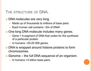 Genetics - 02 The structure of DNA | PPTX