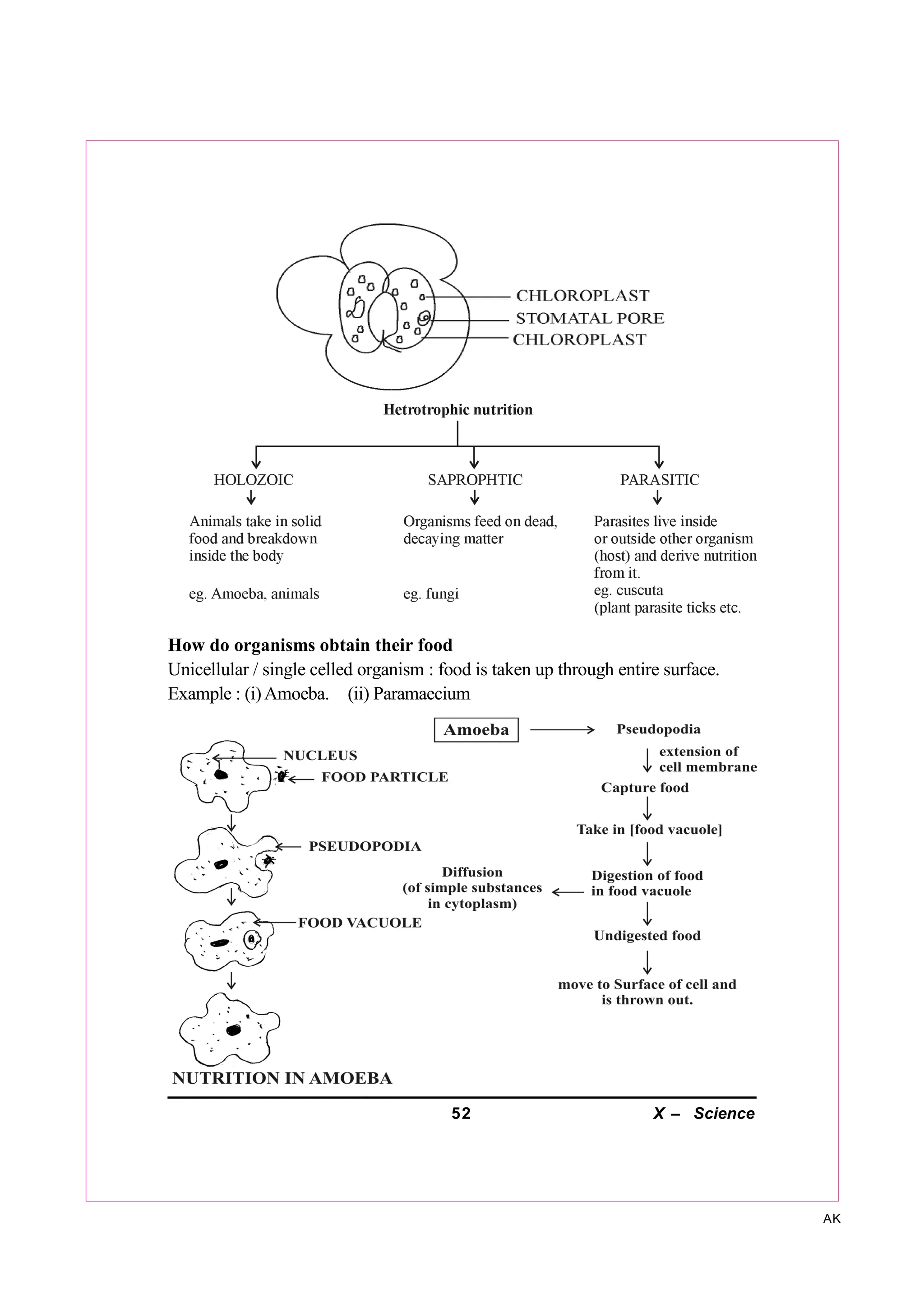 10_science_notes_06_Life_Processes_1 (2).pdf