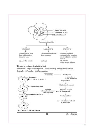 10_science_notes_06_Life_Processes_1 (2).pdf