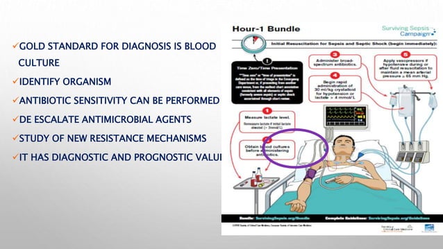 Blood culture role in sepsis and it's management | PPTX