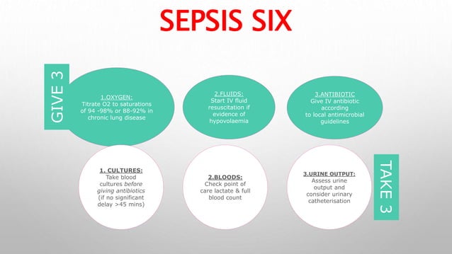 Blood culture role in sepsis and it's management | PPTX