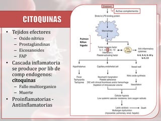 Fisiopatología Del Shock Hipovolémico