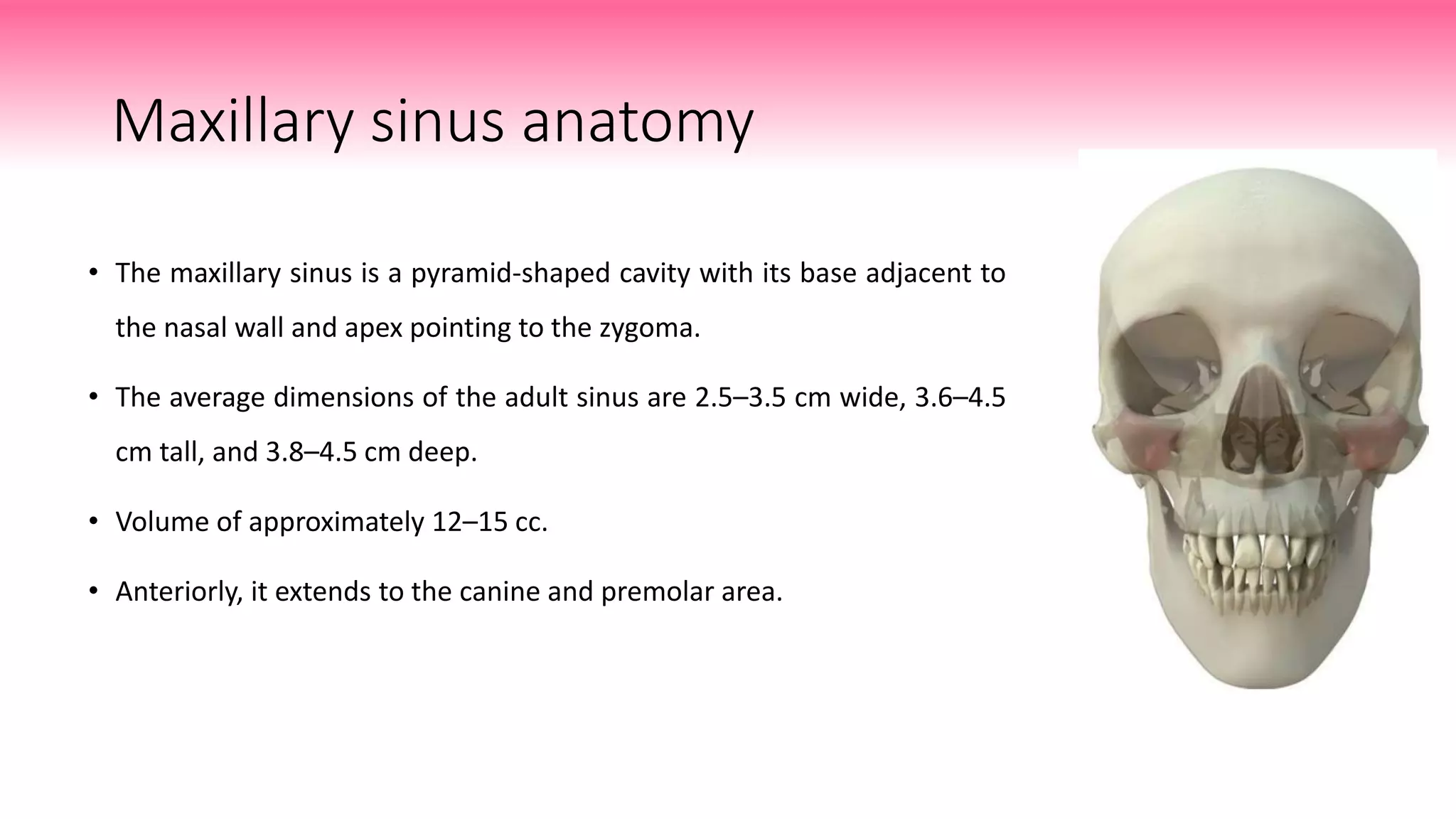 10 SINUS LIFT PROCEDURES seminar 10.pptx