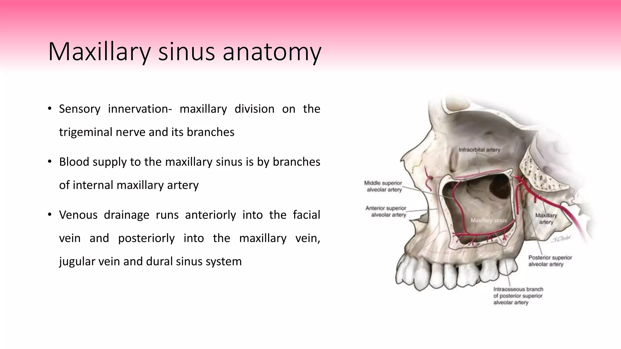 10 SINUS LIFT PROCEDURES seminar 10.pptx