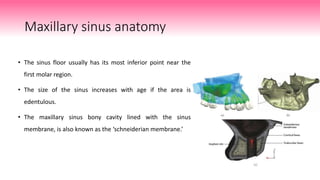 10 SINUS LIFT PROCEDURES seminar 10.pptx