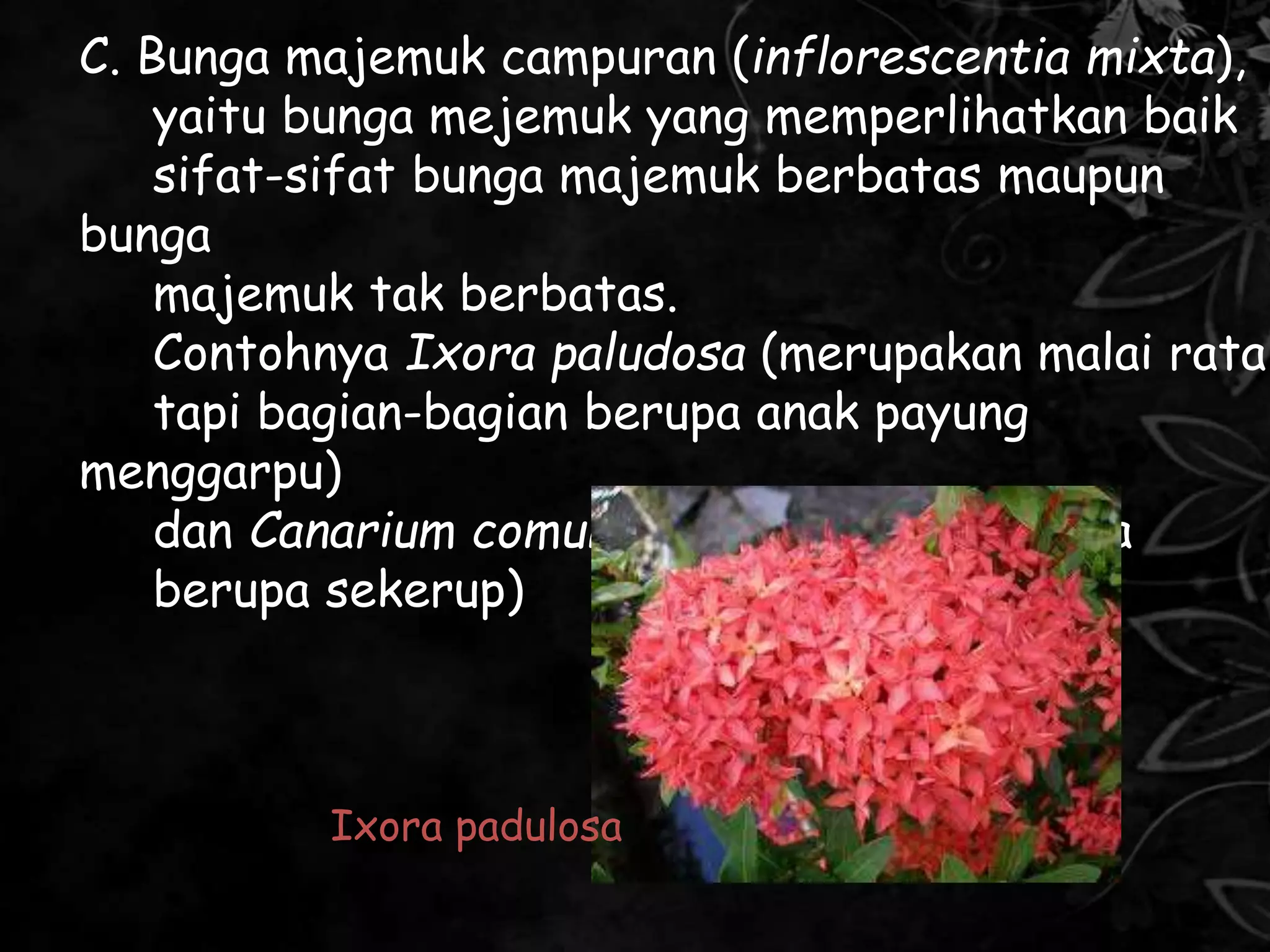 PPT Morfologi Tumbuhan - Bunga Majemuk | PPTX