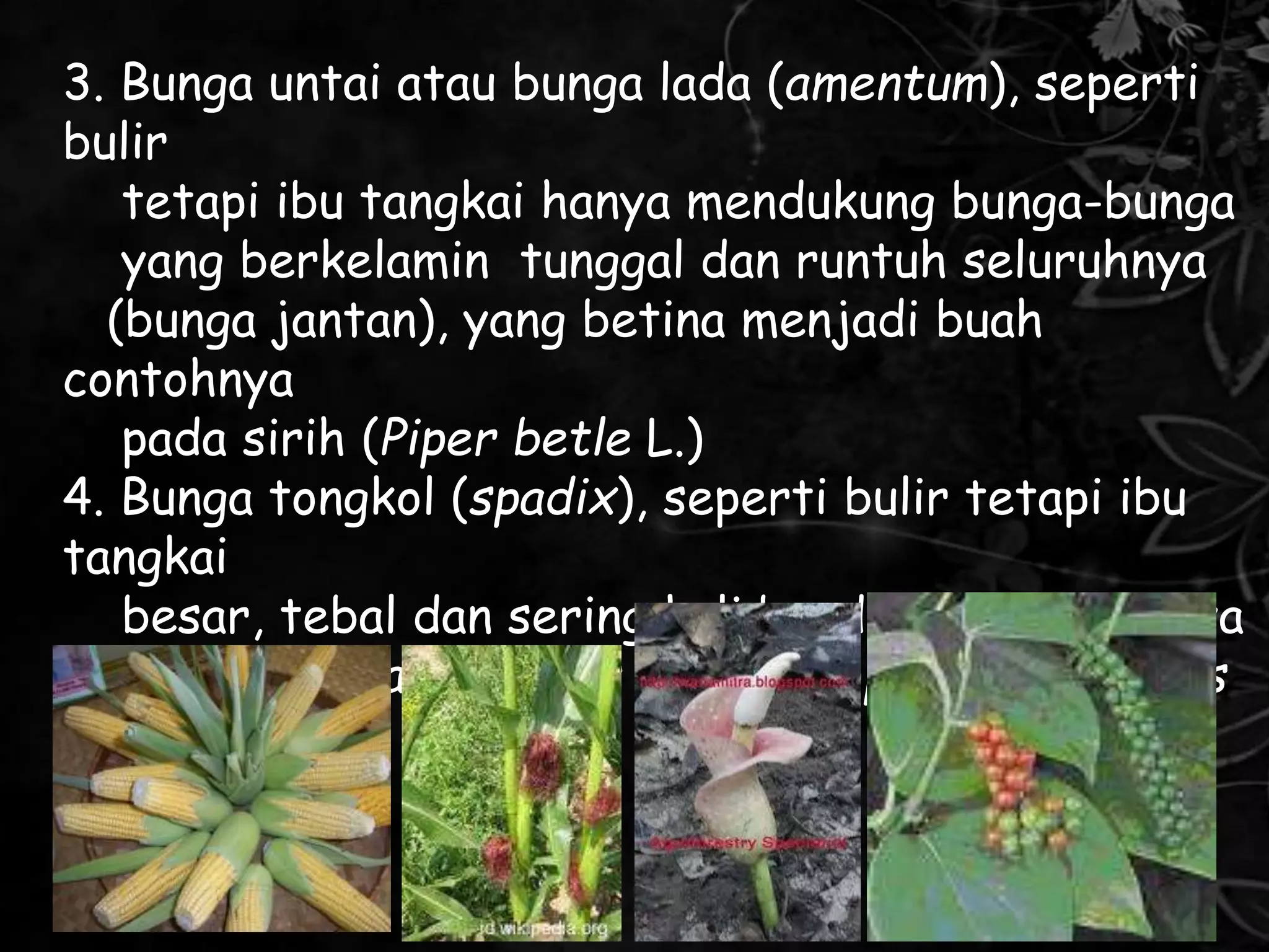 PPT Morfologi Tumbuhan - Bunga Majemuk | PPTX