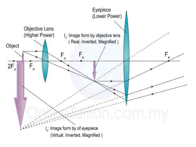 10 slit lamp and operating microscope | PPTX | Eye and Vision ...