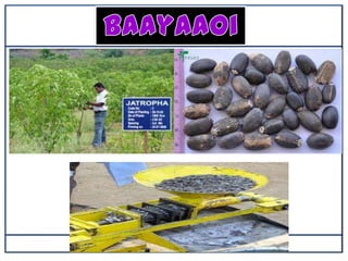 10 sources of energy marathi | PPTX